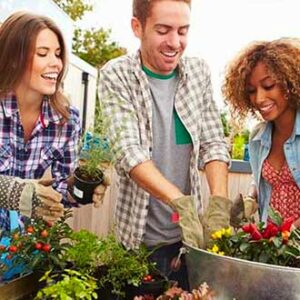 MNLA | Your Resource for Success!