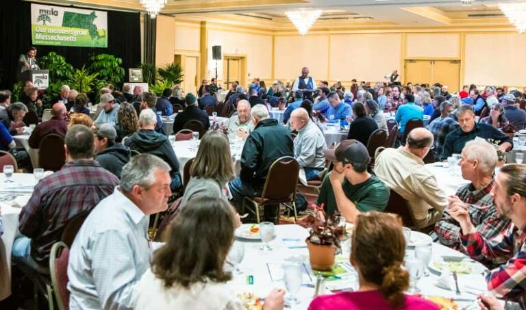 MNLA | Your Resource for Success!